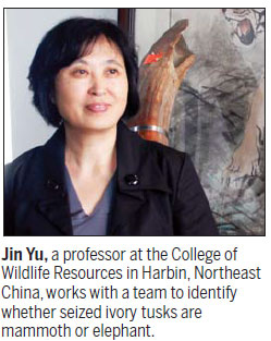 New day for prehistoric commodity|Life|chinadaily.com.cn