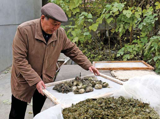 Paper from panda poop - EUROPE - Chinadaily.com.cn